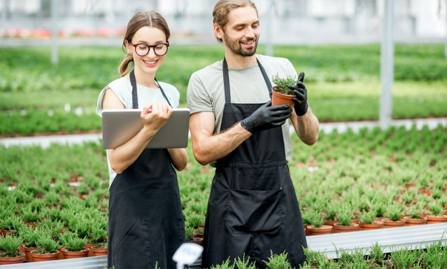 O que são as Agrotechs? Inovação e Tecnologia no mundo Agro